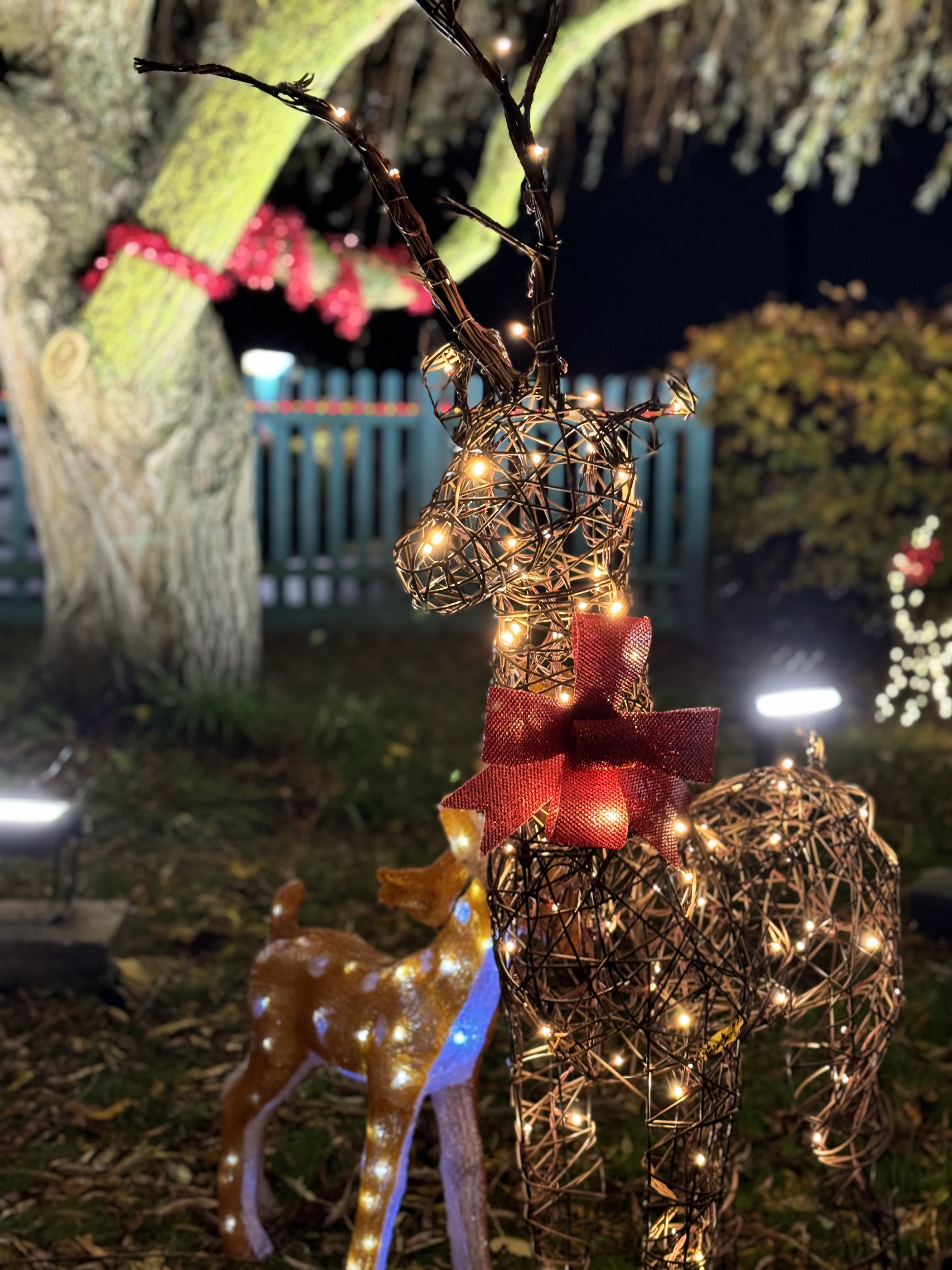 Demelza Festive Elf Trail and Market raise thousands | Demelza Hospice ...