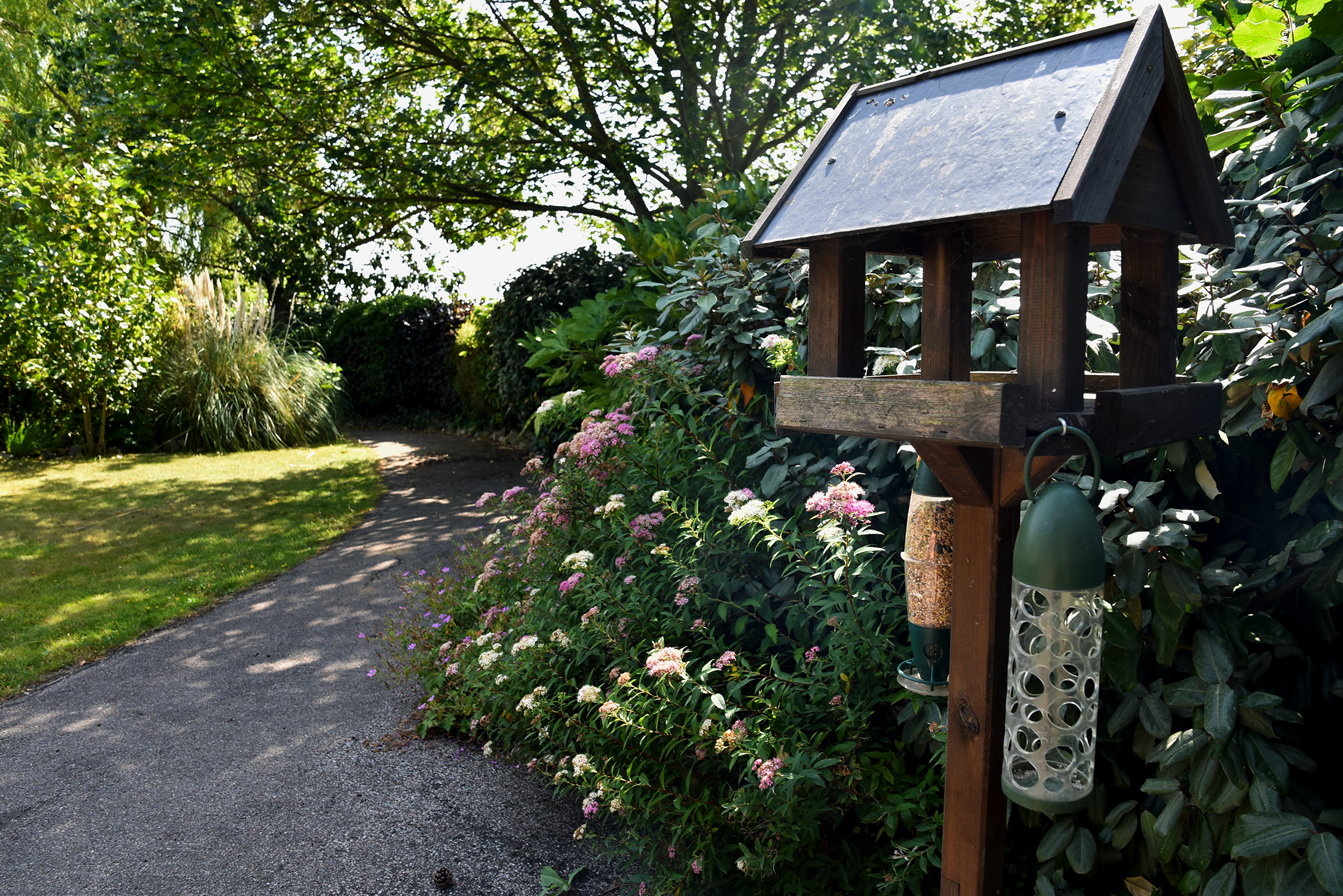 Our Trustees | Demelza Hospice Care for Children | Meet our team