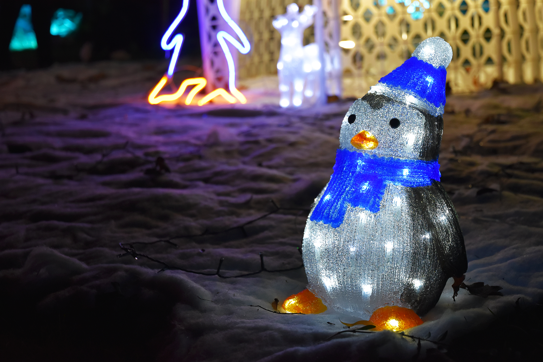 Hundreds get into festive spirit at annual elf trail | Demelza Hospice ...